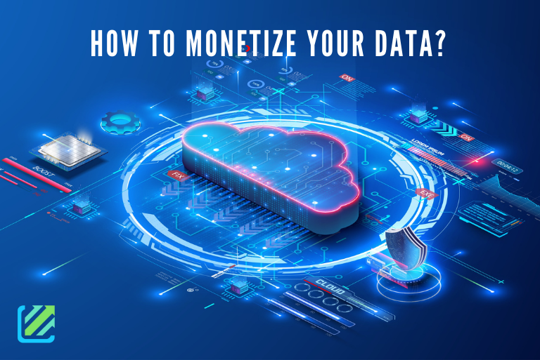 How to monetize your data? | iMonetizeIt